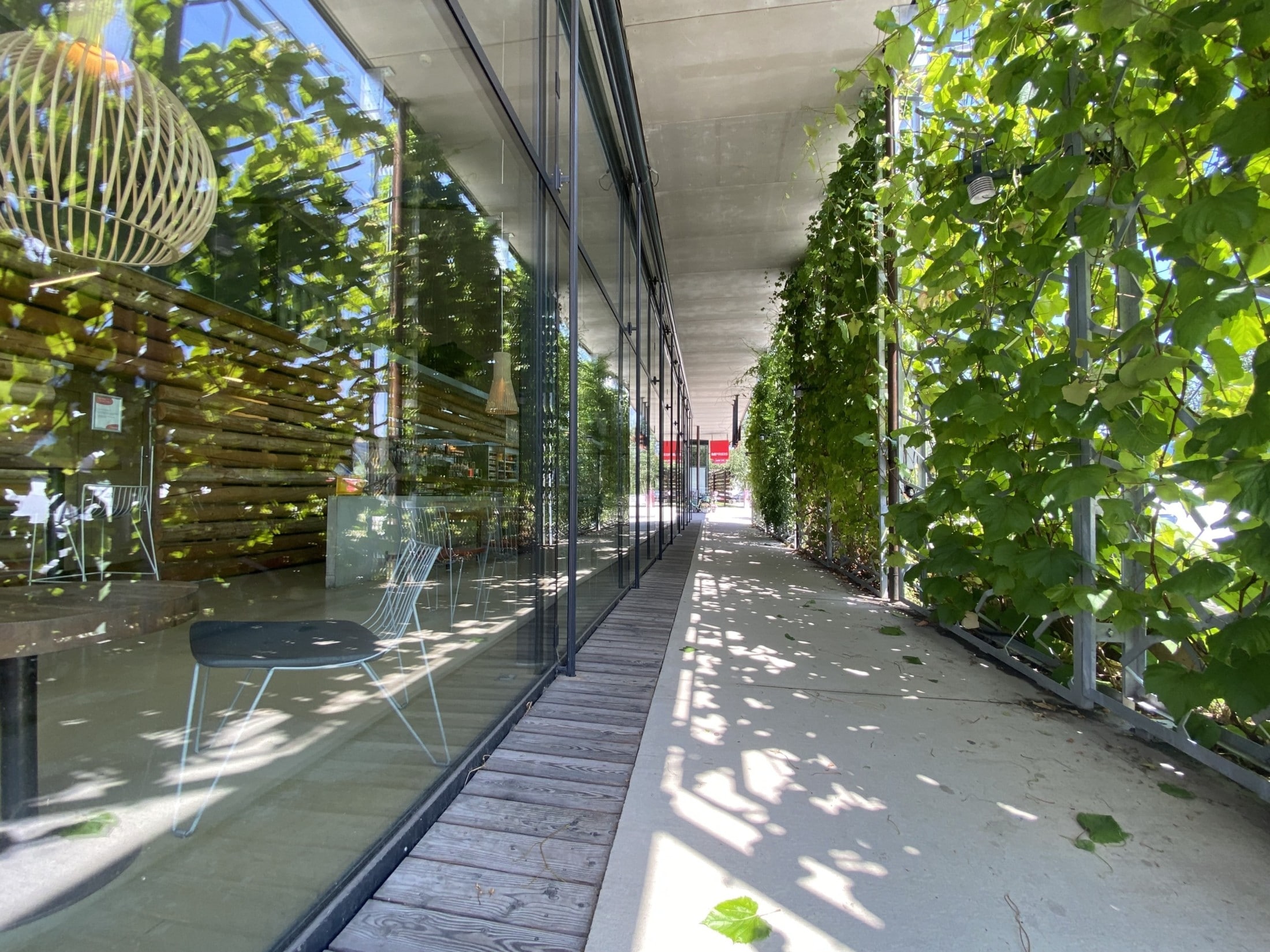 Lhana cherry leaks upon looking at her photos and perusing