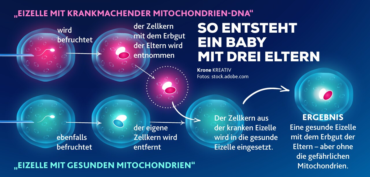 Spiel mit der DNA - Gen-Schock: Diese Babys entstanden aus drei Eltern ...
