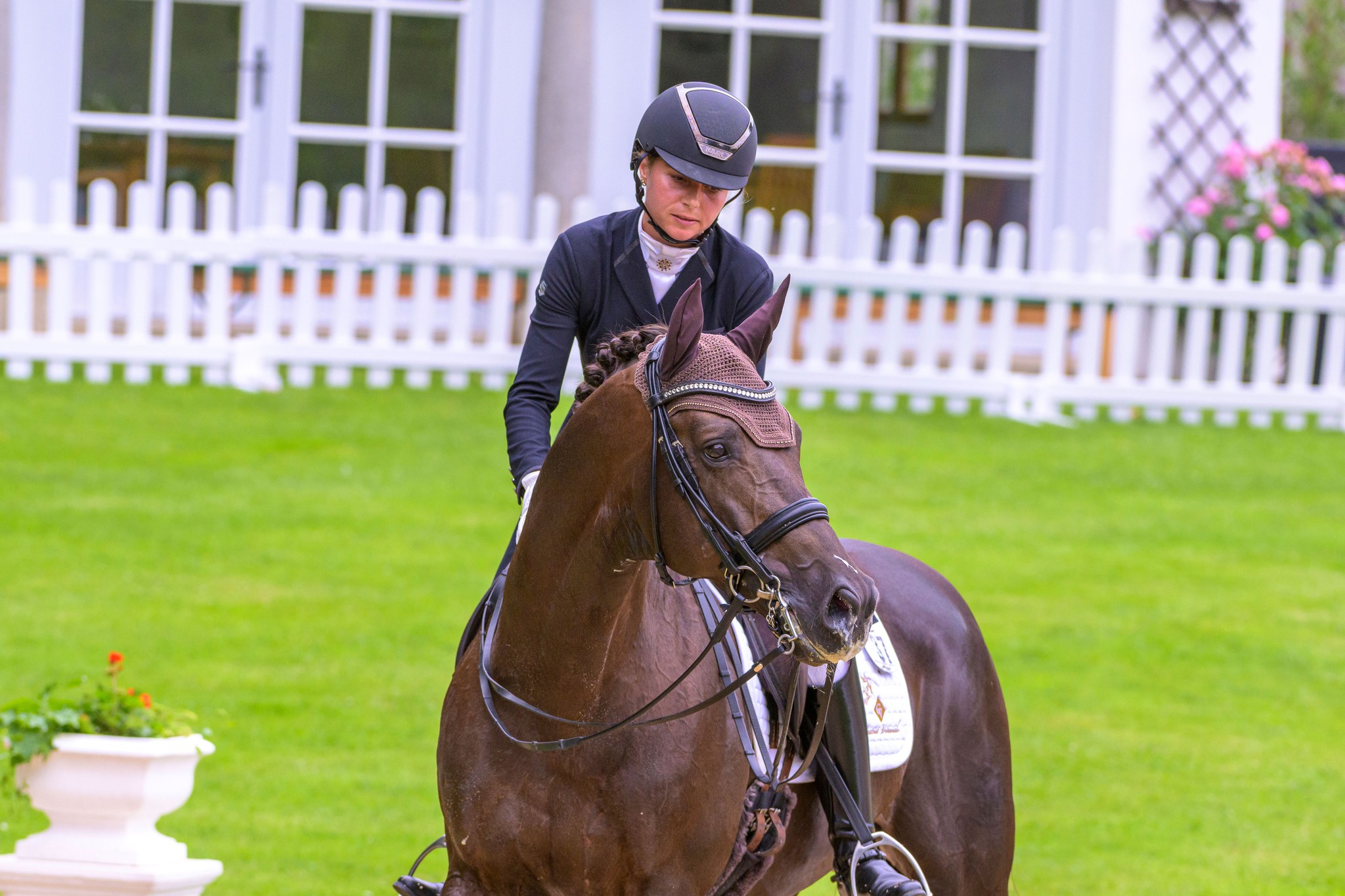 Reiter in Achleiten - Vier Sterne für Vierbeiner im Schlossquartier ...
