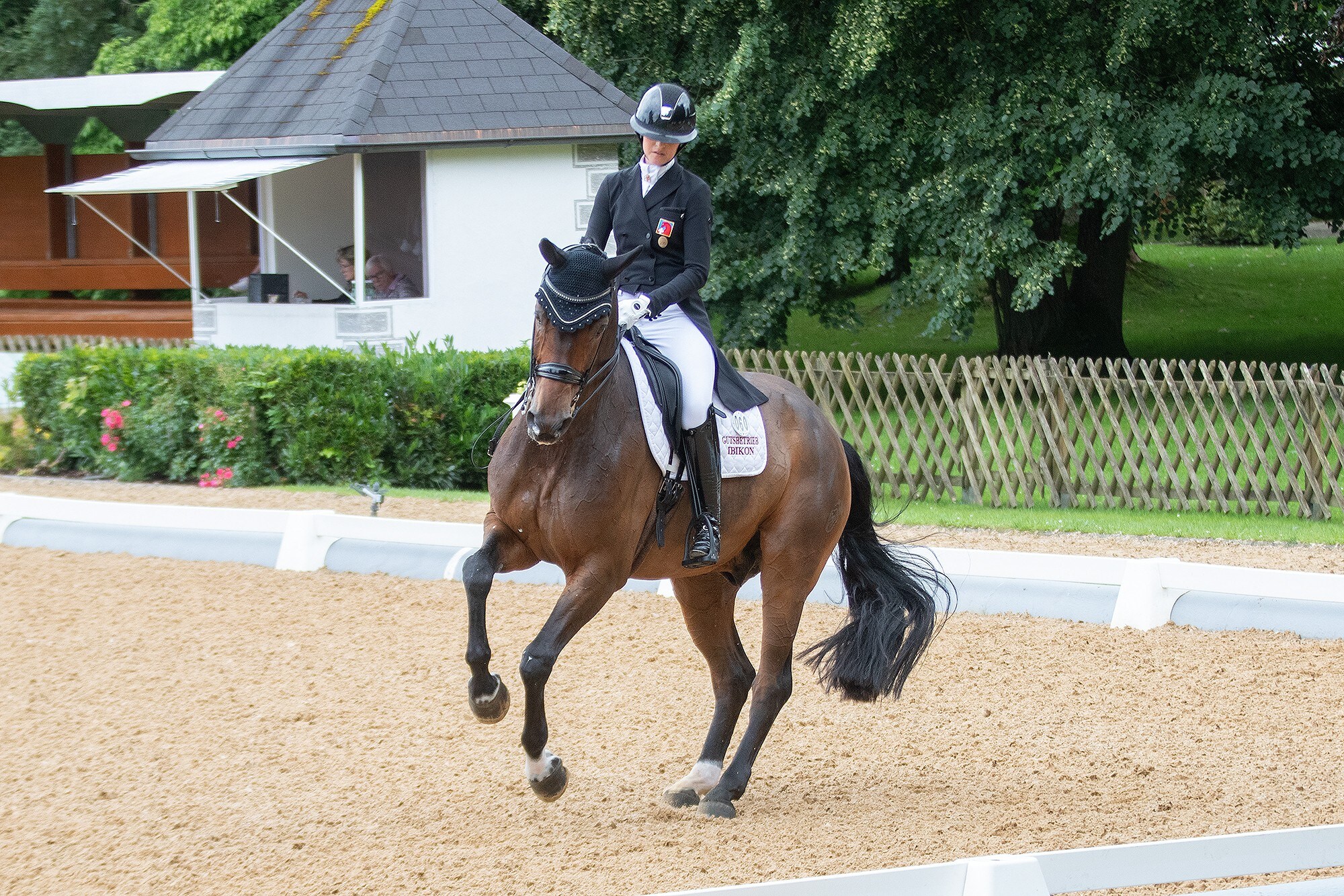 Reiter in Achleiten - Vier Sterne für Vierbeiner im Schlossquartier ...