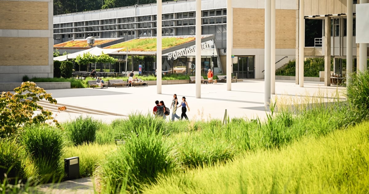 Lovetami x they are notorious for altering the female’s