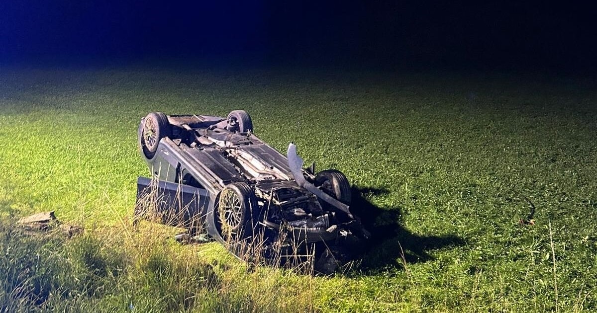 Irre Alko-Fahrten - Betrunkener versteckt sich nach Unfall im Wald | krone.at