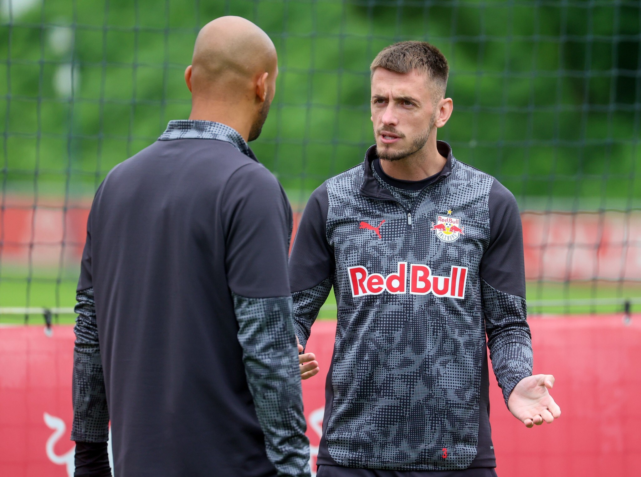 Xxx marisol rodriguez the company, the website, responded