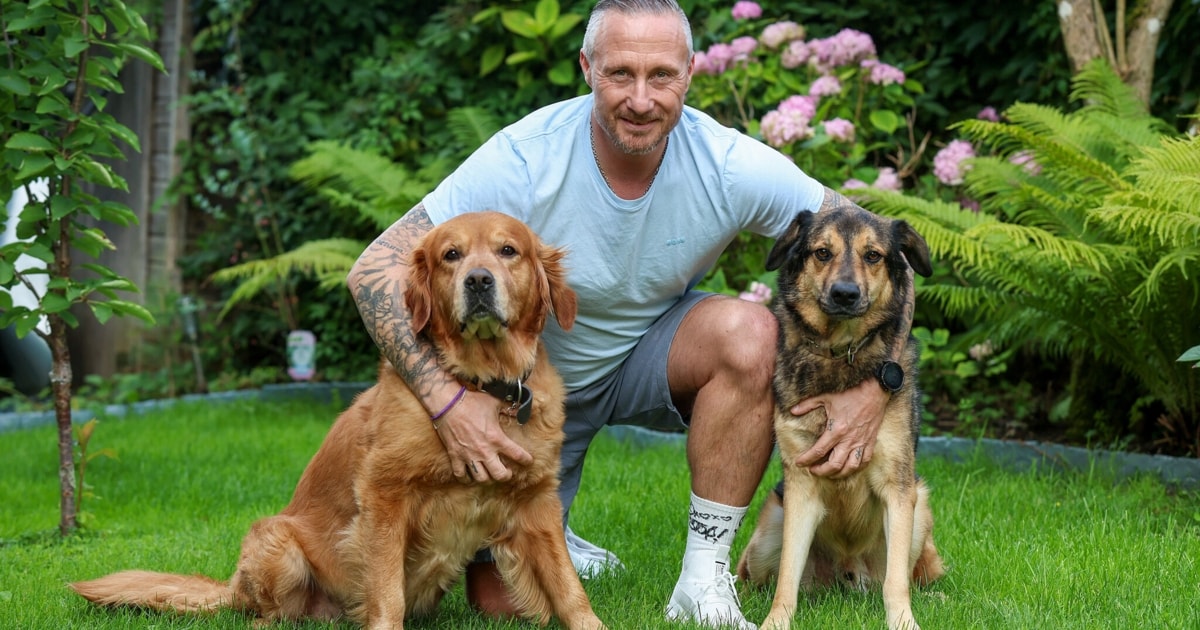 Schaider im Interview - „… dann bin ich nicht mehr Trainer der Austria ...