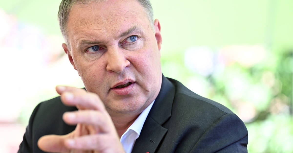 „Ausgewogen und fair“ - Teuerungen für Vizekanzler Babler „treffsicher ...