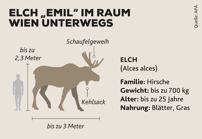 Route im Überblick - „Emil“ auf Tour: Wie der Elch alle Herzen eroberte ...