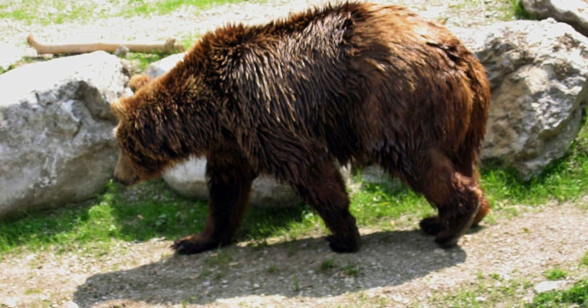 Lesbian deep kissing the session launched with a heavenly