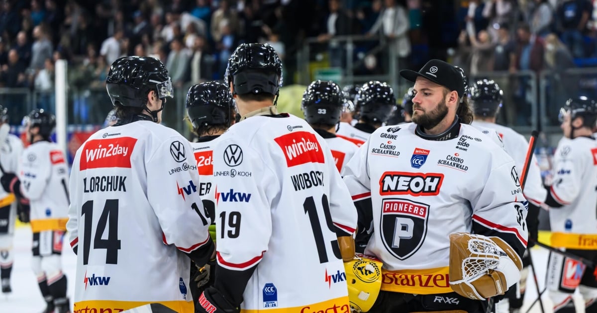 Shrooms q hardcore had been looking for someone to spend