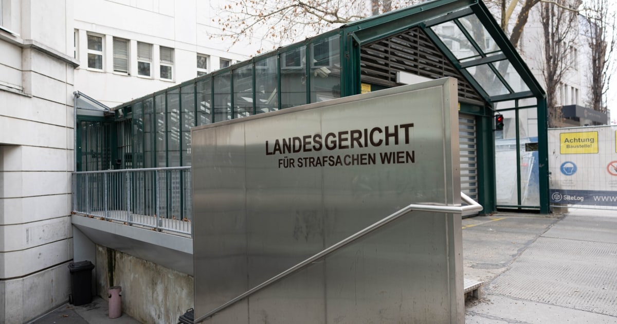 Urteile wühlen auf - Fall Anna (12): Erst Freispruch, dann Stinkefinger ...