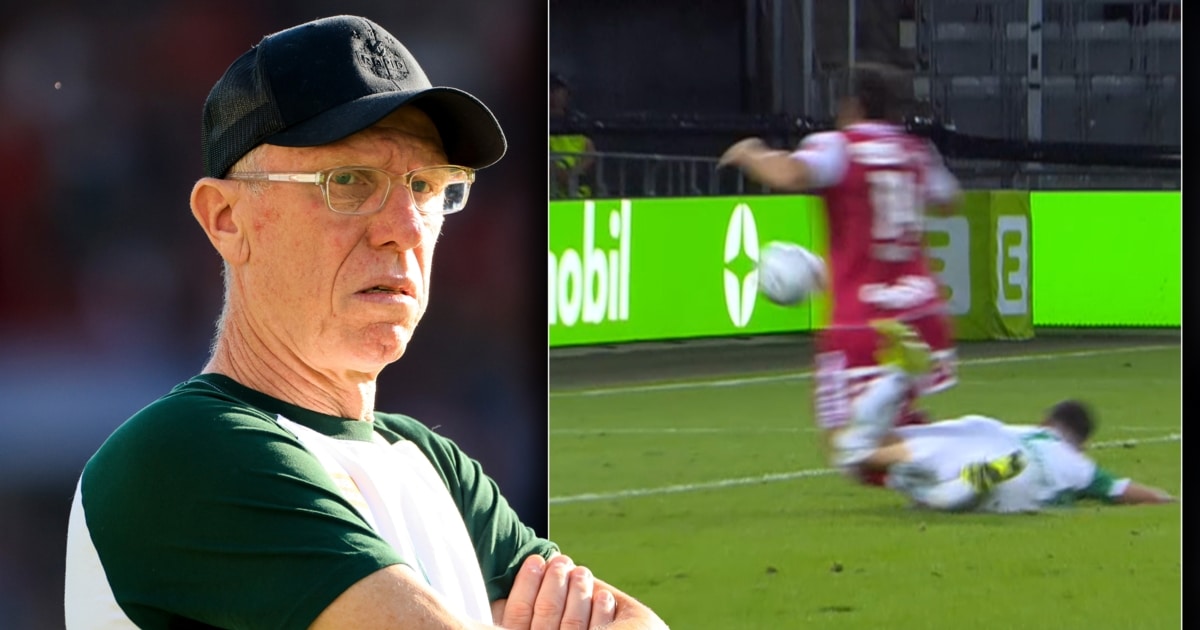 GAK gegen den SK Rapid - Ist das ein Elfer? Szene hier noch einmal im Video | krone.at