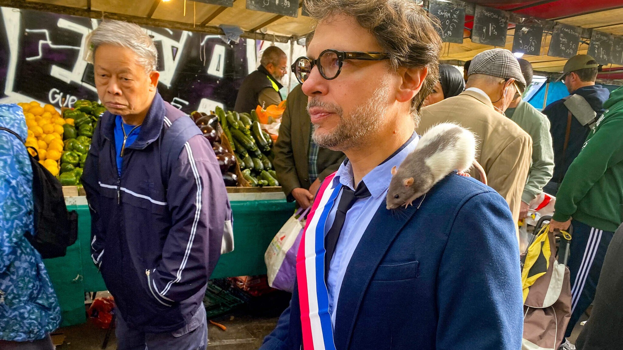 „Schon eine gesehen?“ - Französischer Politiker wirbt für Ratten in ...