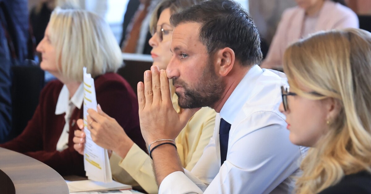 Von SPÖ rausgeworfen - Was Dornauer nun als „Wilder“ tun kann und darf ...