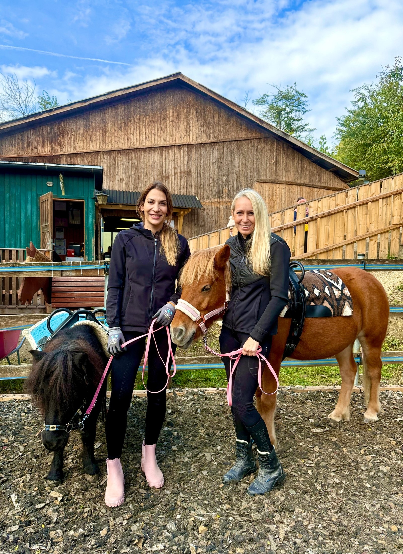 Auf dem Ponyhof - Auf vier Hufen macht das Lernen gleich mehr Spaß ...