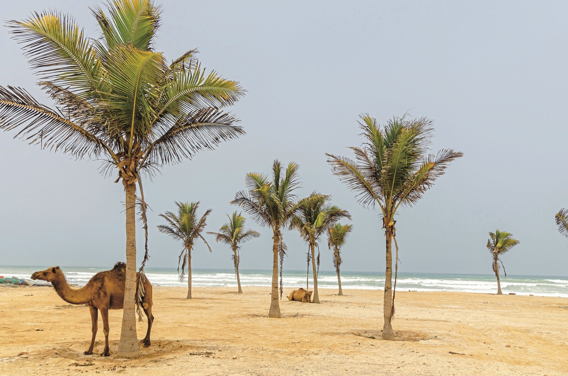 Reise ins Sultanat - Arabischer Zauber im Oman | krone.at