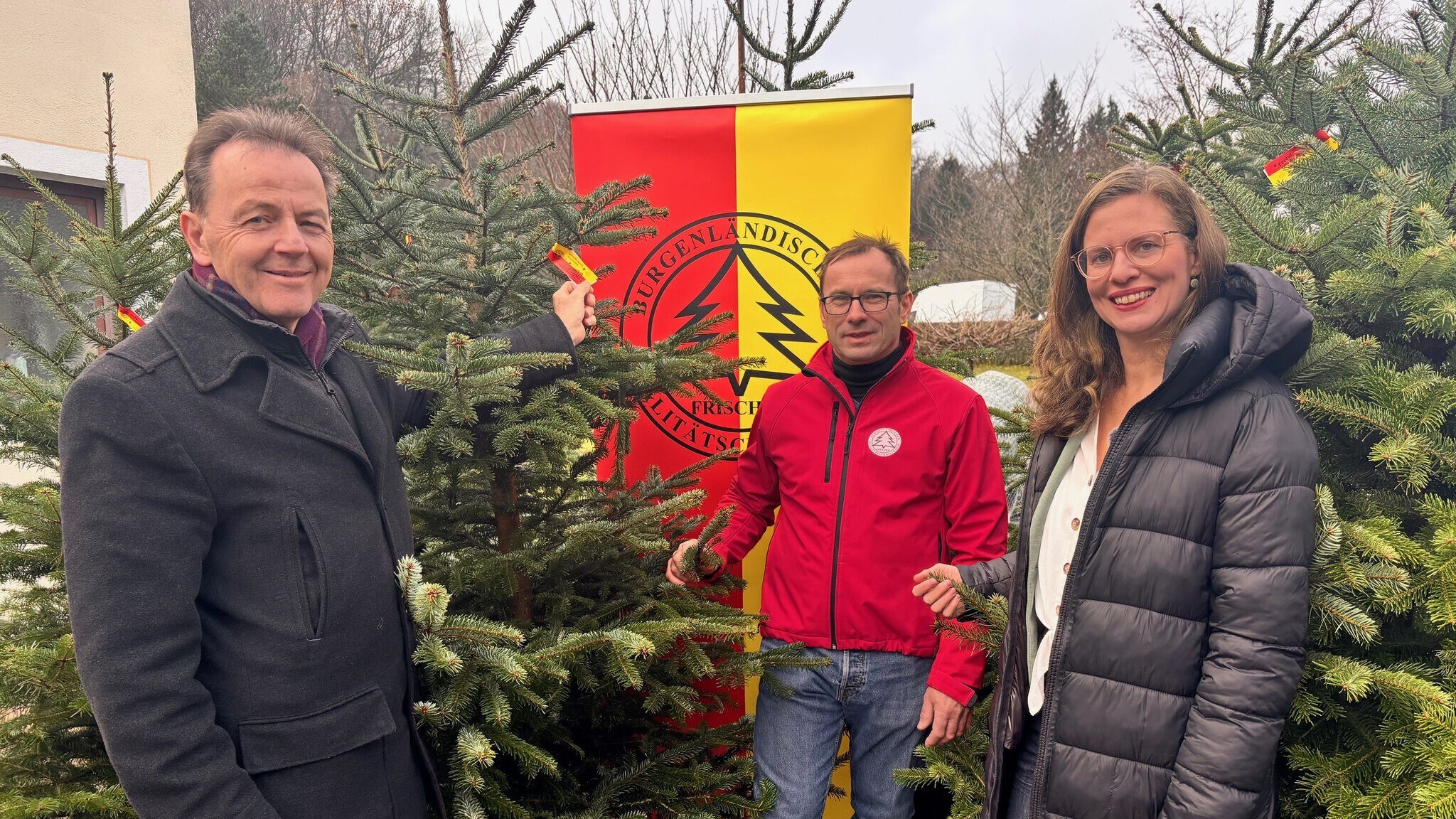 Christbaum-Saison - Darum zahlt sich regional kaufen jetzt doppelt aus ...