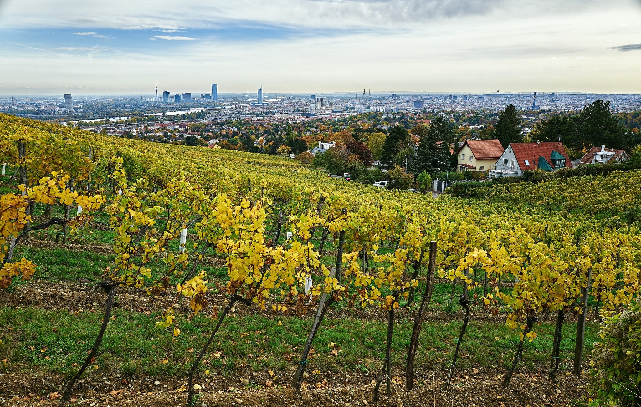 Jahresbilanz - So wenig Schadstoffe in der Wiener Luft wie selten ...