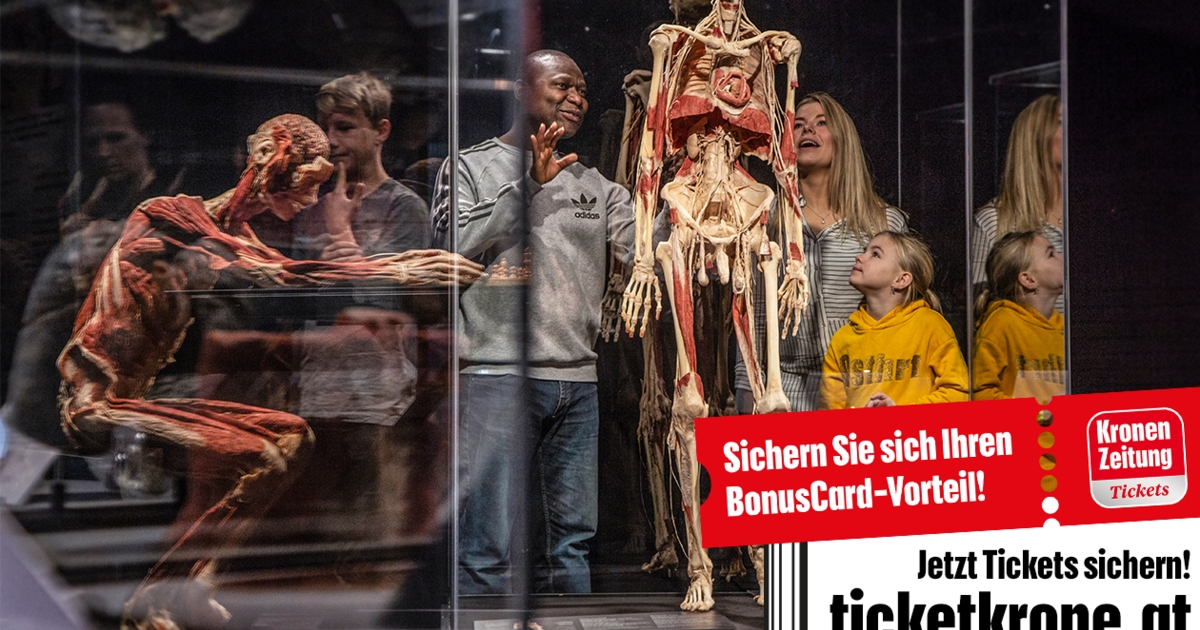 Body Worlds exhibition in Vienna explores the human body and modern ...