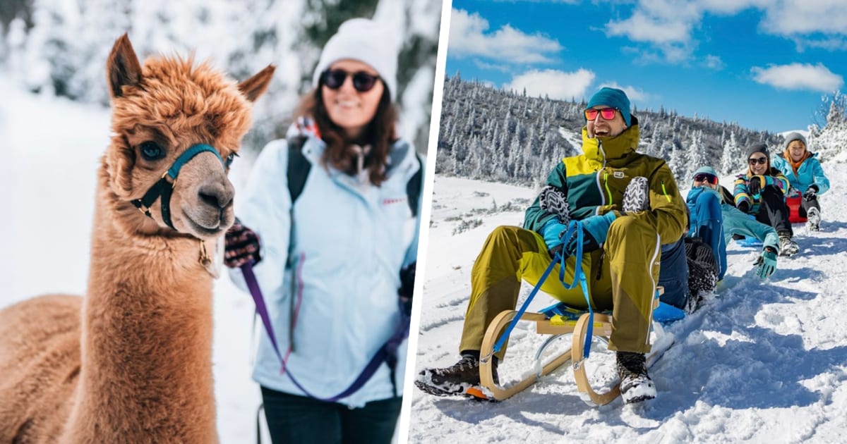 Enjoy winter fun in Lower Austria away from crowded ski slopes | News ...