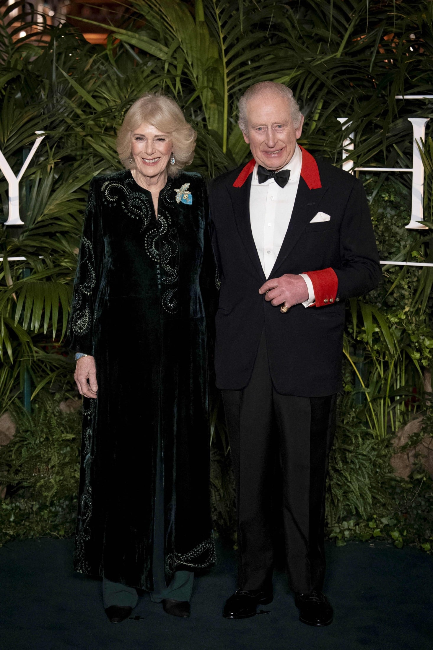 Herzensdoku - Charles lud zur glamourösen Premiere auf Windsor | krone.at