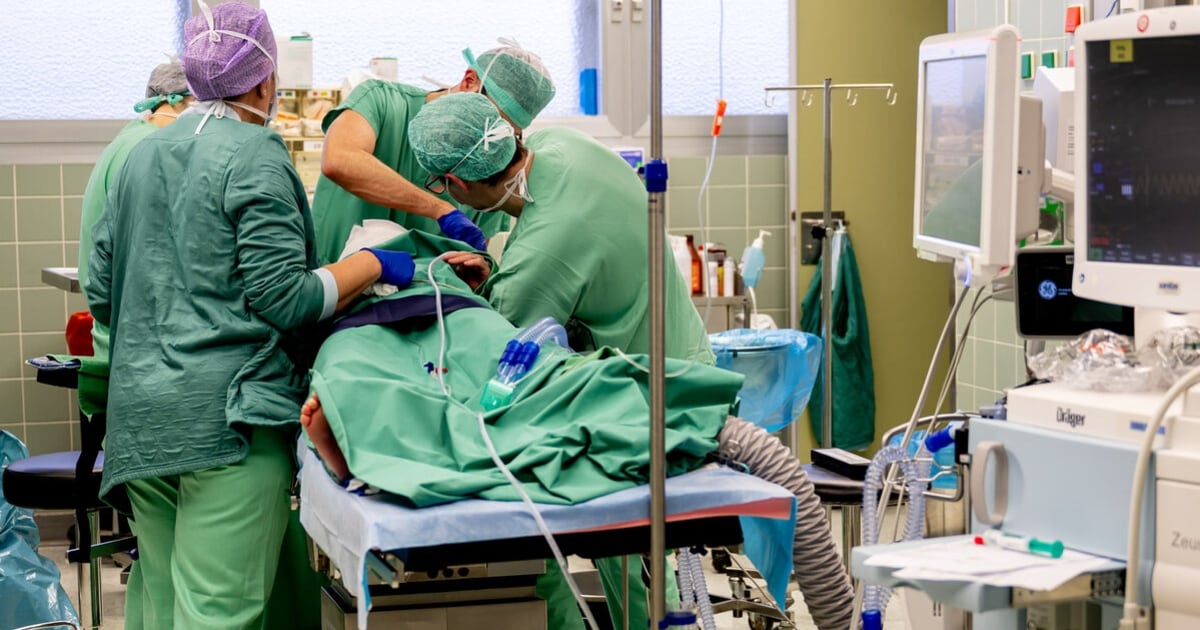 Lower Austria strengthens cancer care with expert network and new ...