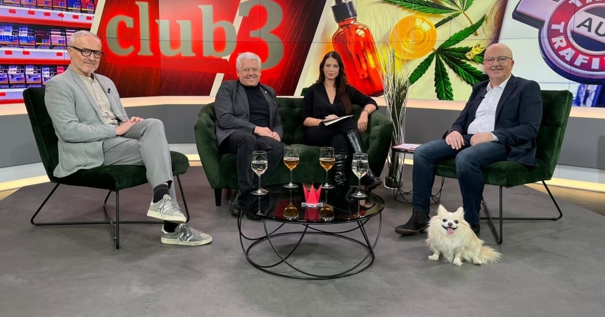 Zoff um Tabakgesetz - Arsenovic: „Cannabis soll legalisiert werden ...