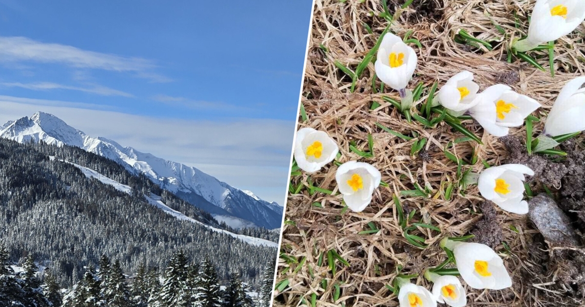 Bis 20 Grad in Tirol - Nach Schnee-Woche kommen nun Frühlingsgefühle ...