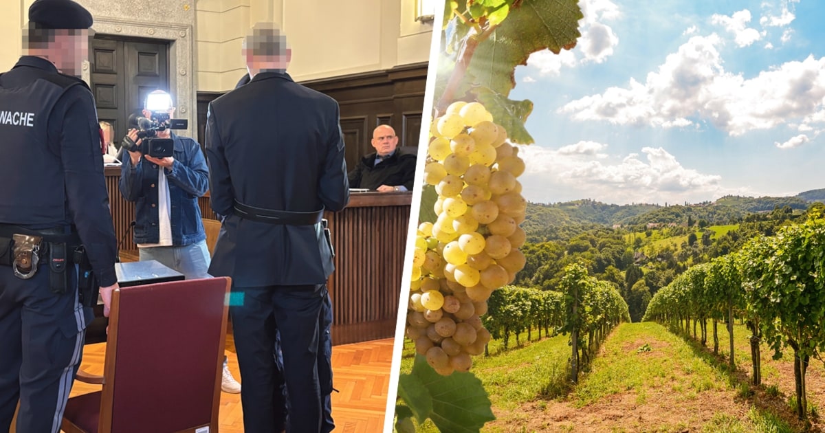 “Had no motive” - Euthanasia or murder? Winemaker not pleading guilty ...
