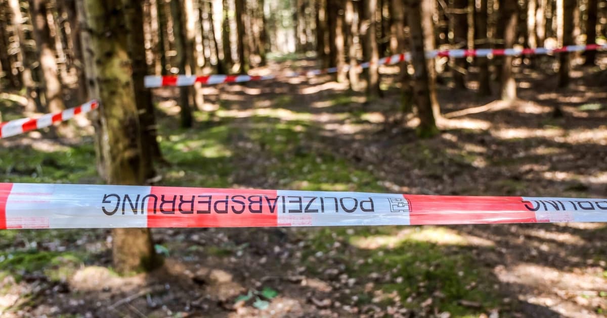Großer Polizeieinsatz - Sondengeher findet im Wald Panzerabwehrwaffe ...