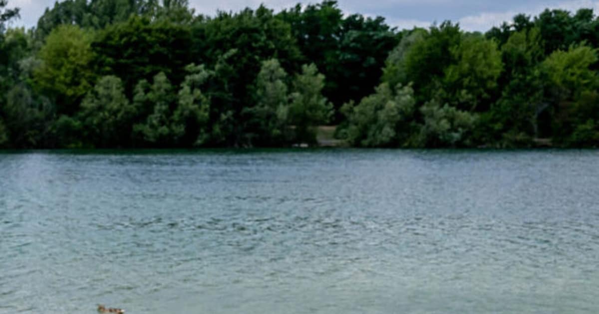 Mädchen (12) griff ein - Vierjähriger Bub aus See gerettet und ...
