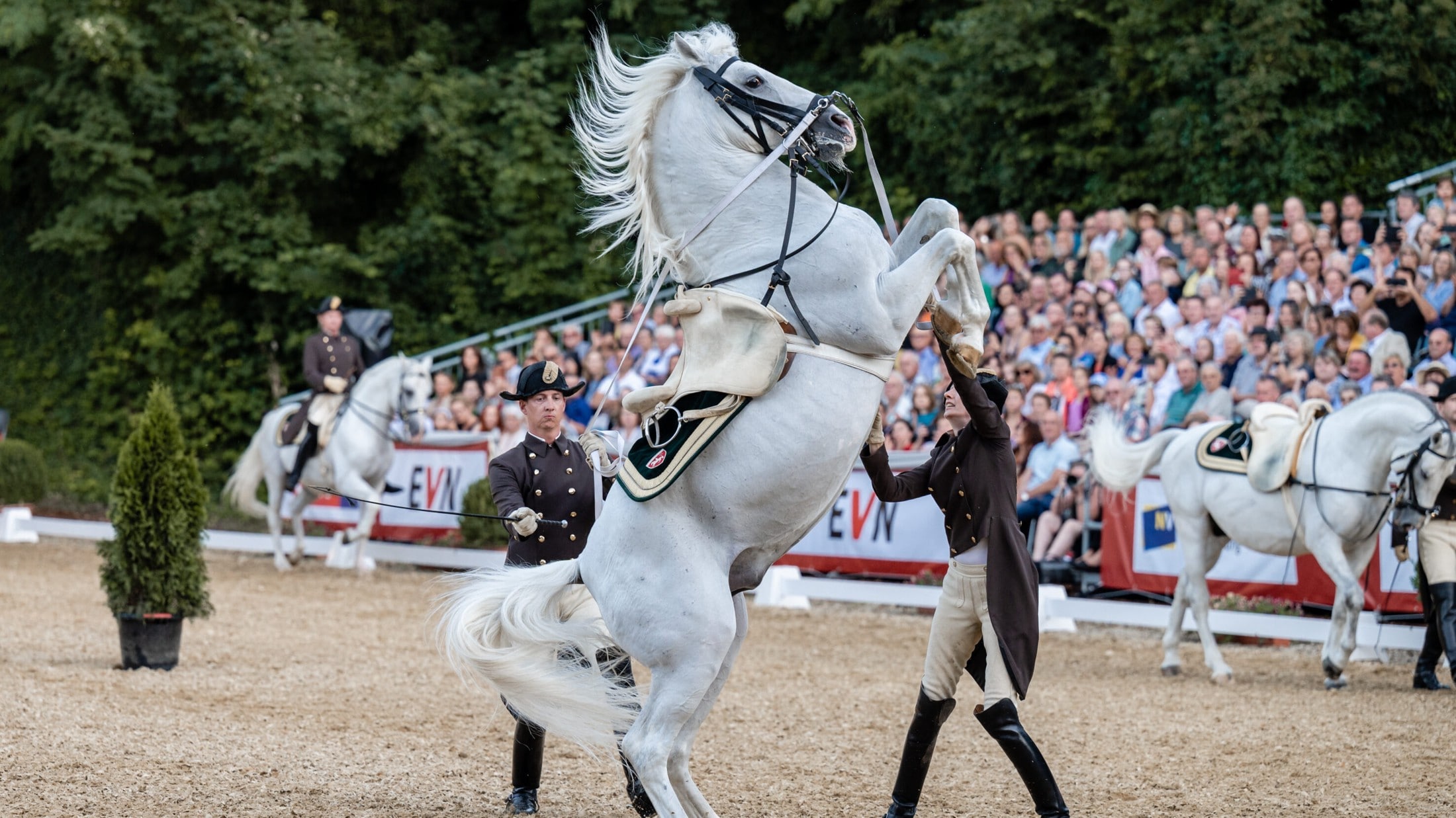 Am Heldenberg - Die „Krone“ bringt Sie zur Lipizzaner-Gala | krone.at