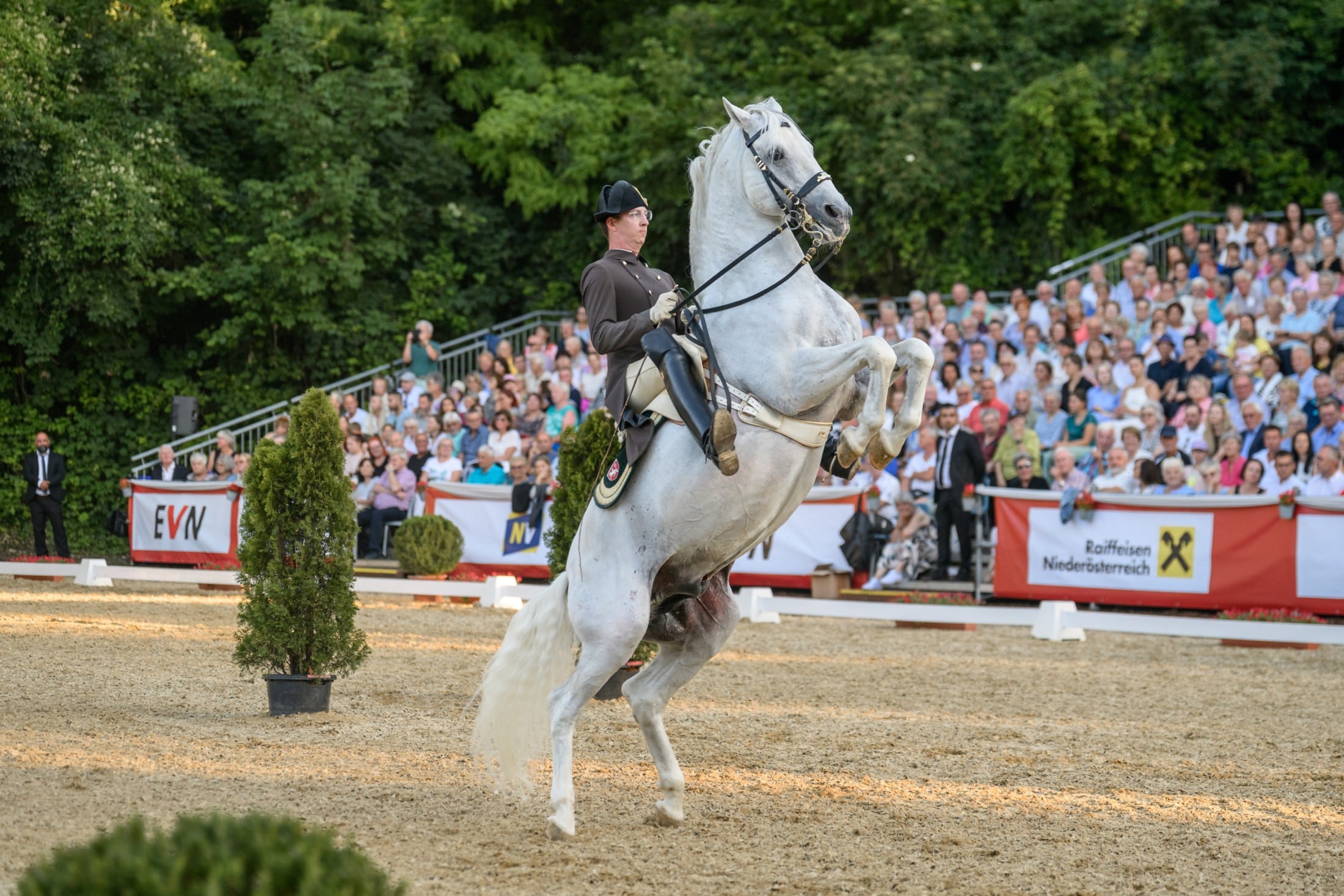 Am Heldenberg - Die „Krone“ bringt Sie zur Lipizzaner-Gala | krone.at