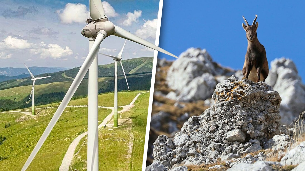 Jägerschaft alarmiert - Windpark-Ausbau birgt viel Konfliktpotenzial ...