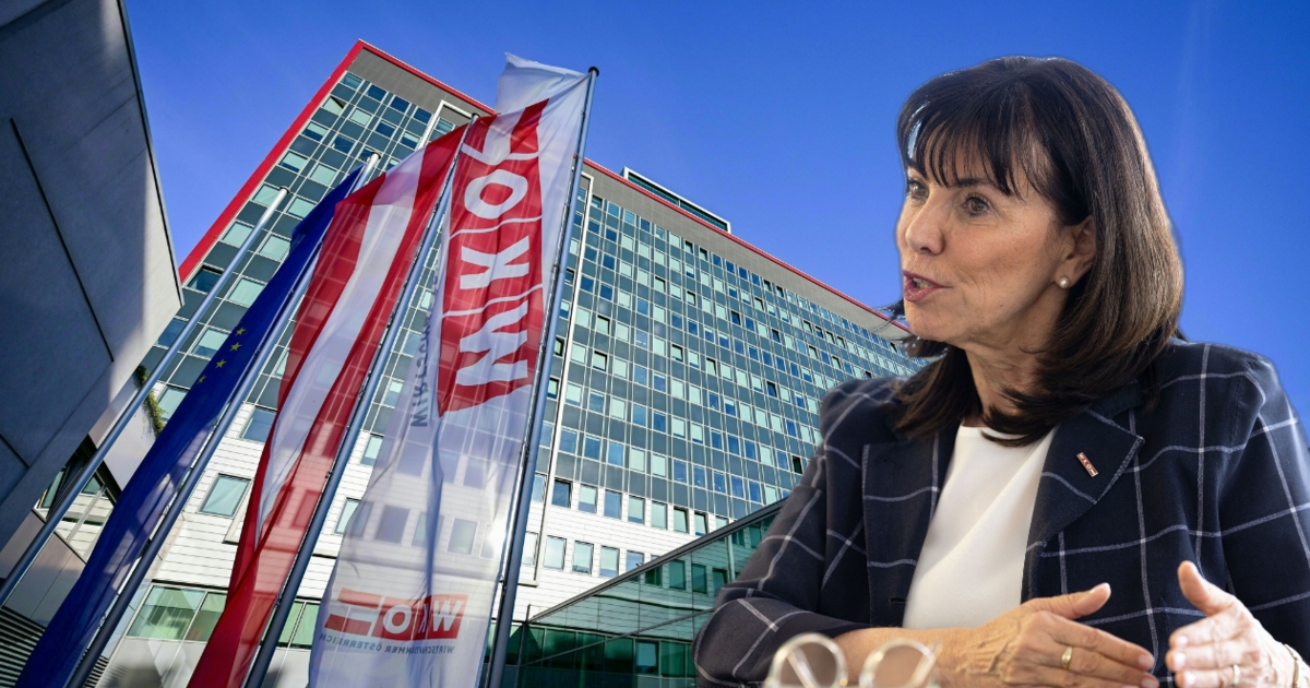 „Stimmung gedrückt“ - Jobabbau: Betriebsrat liest WKO-Chefin die ...