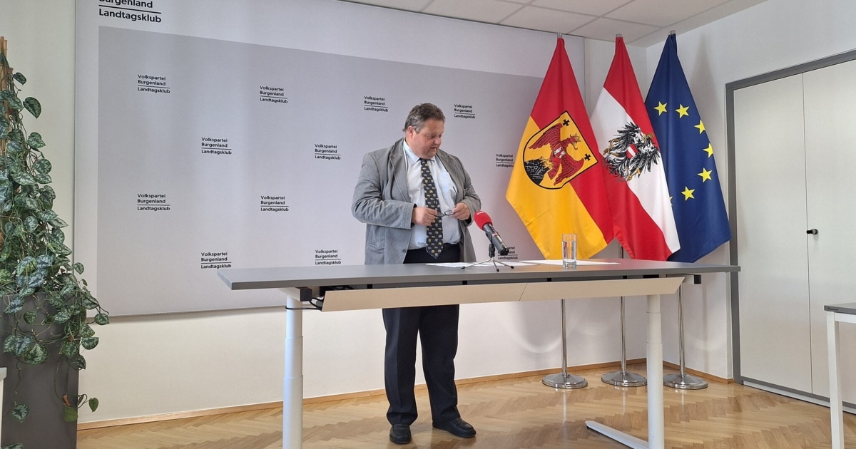 Neue Eisenstädter - U-Ausschuss: Strobl fordert Zeugenbefragungen ...