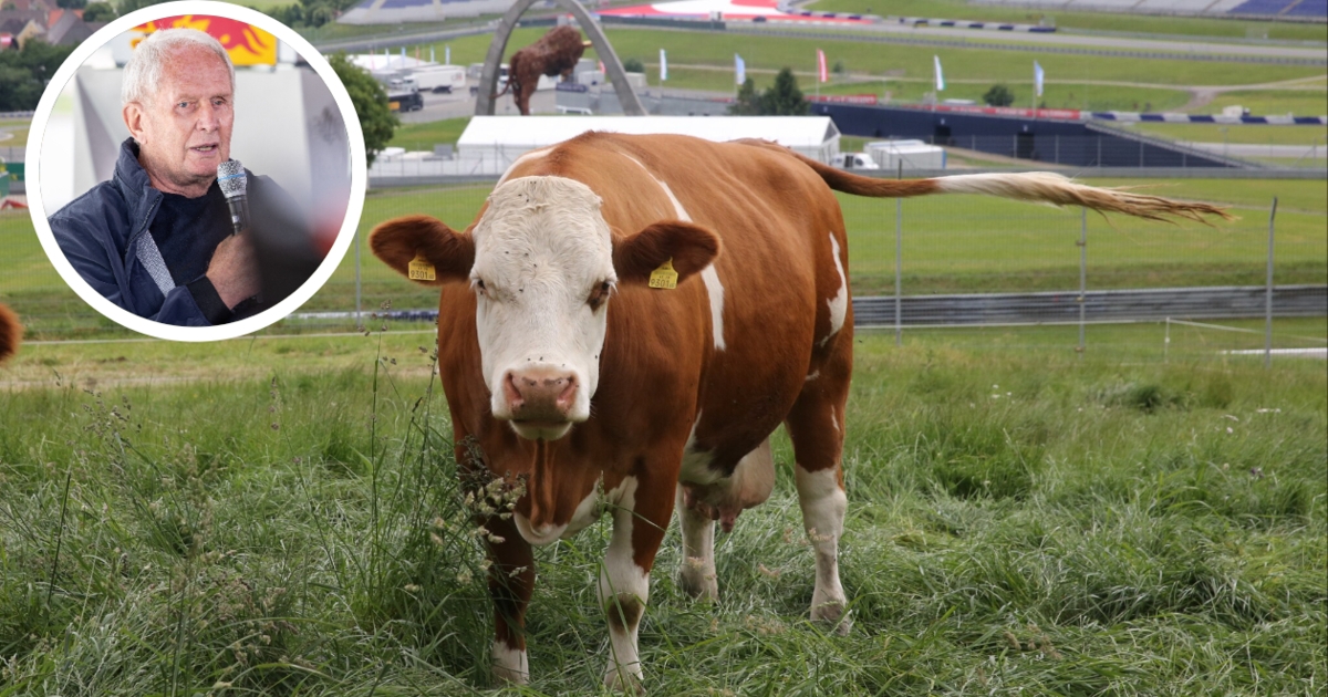 Anfänge in Spielberg - „Während des Rennens haben dort Kühe geweidet ...